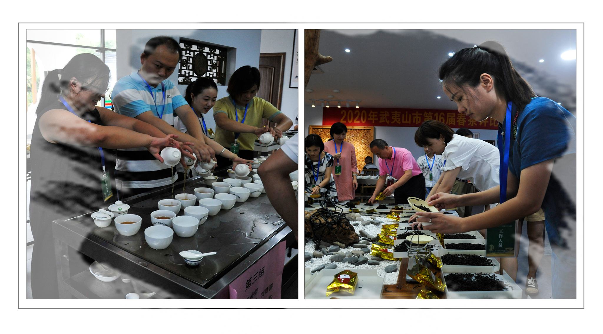 The light and shadow keep the truth-Wuyishan•Wuyi tea wonders the world ...