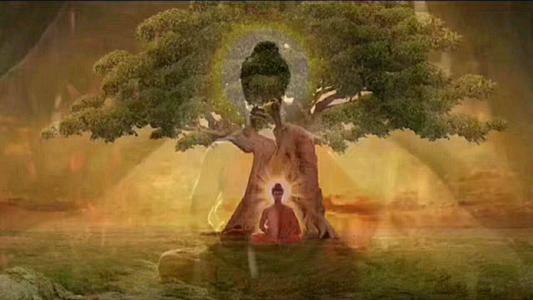 Who are the five innate spiritual roots in ancient mythology? - iNEWS