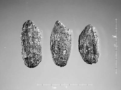 Leisurely Notes of Jiahu Site - iNEWS