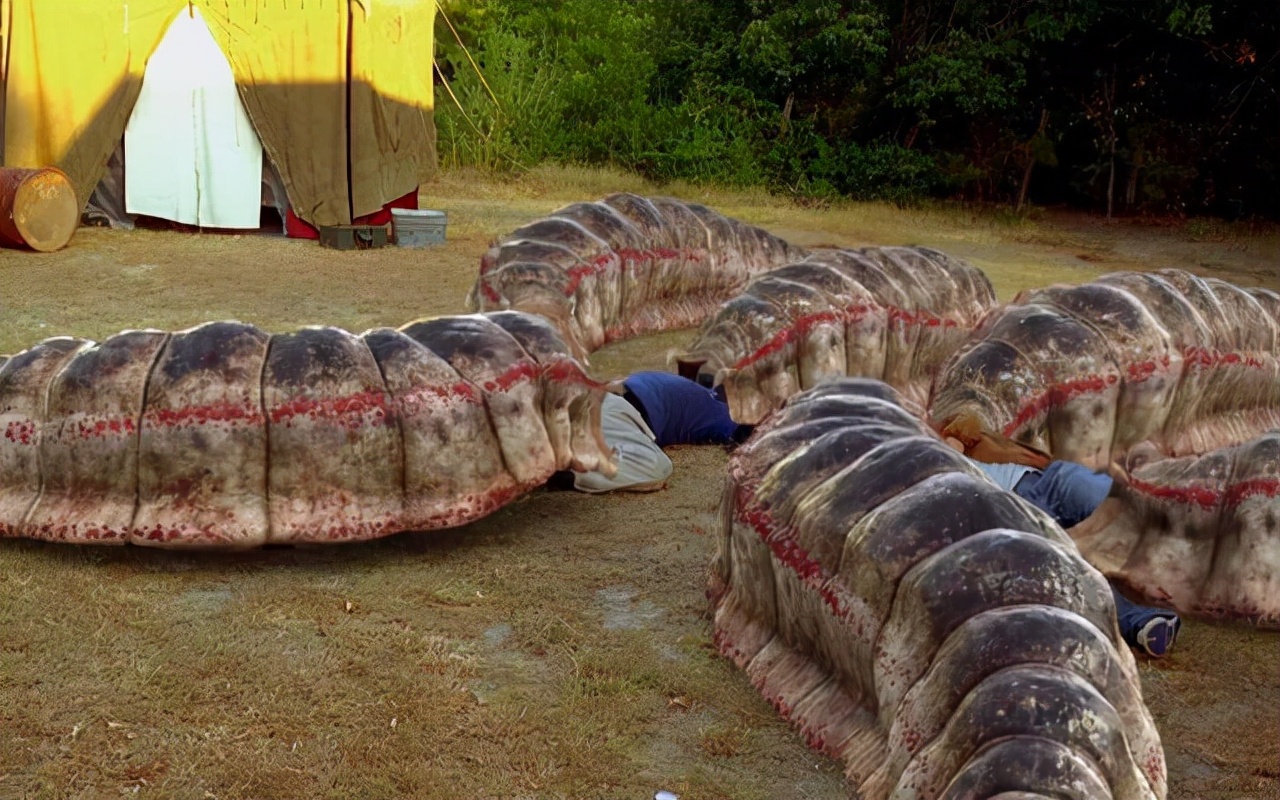 Folk Culture: What is "Gu"?Finished reading up knowledge - iNEWS