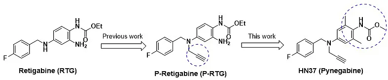 J. Med. Chem: Discovery of HN37, an innovative anti-epileptic drug ...