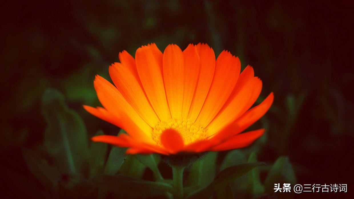 Sprinkle tears on the world, push the earth to red - iNEWS