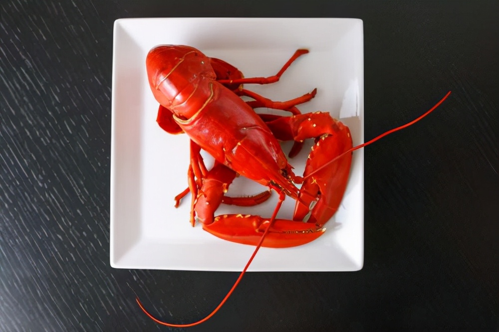 Hermaphrodite!The U.S. exhibits extremely rare two-color lobsters, with ...