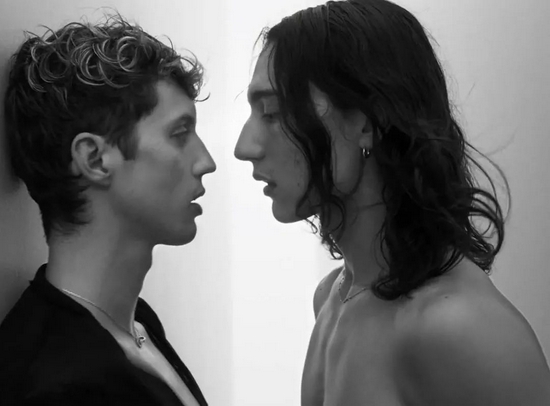 The Vietnamese-American mixed-race Asian male model in Troye SivanMV ...