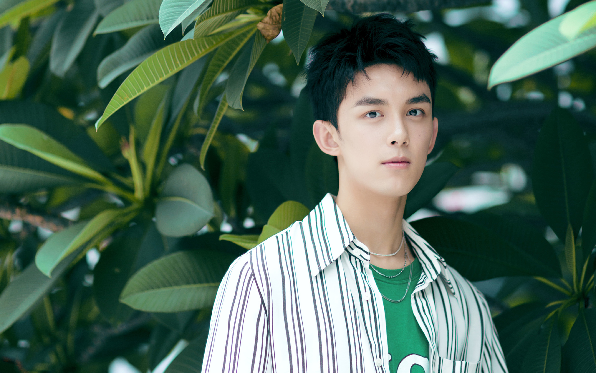 Entertainment Comments: Xiao Zhan, Yang Ying, Wu Lei, Cai Xukun, Song Yuqi, Ding Zhen - iNEWS