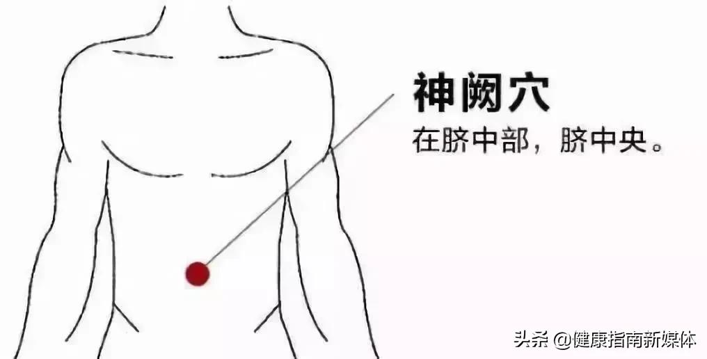 Shenque Point-the pedicle of life, the longevity point of "rejuvenating ...