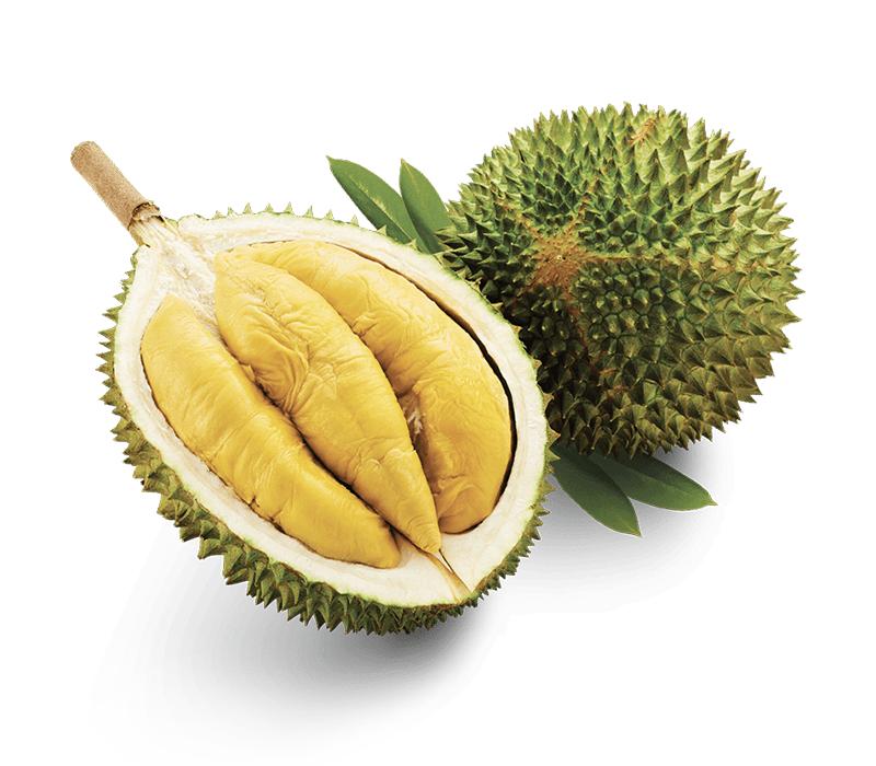 Top 10 most popular durian varieties in Malaysia - iNEWS