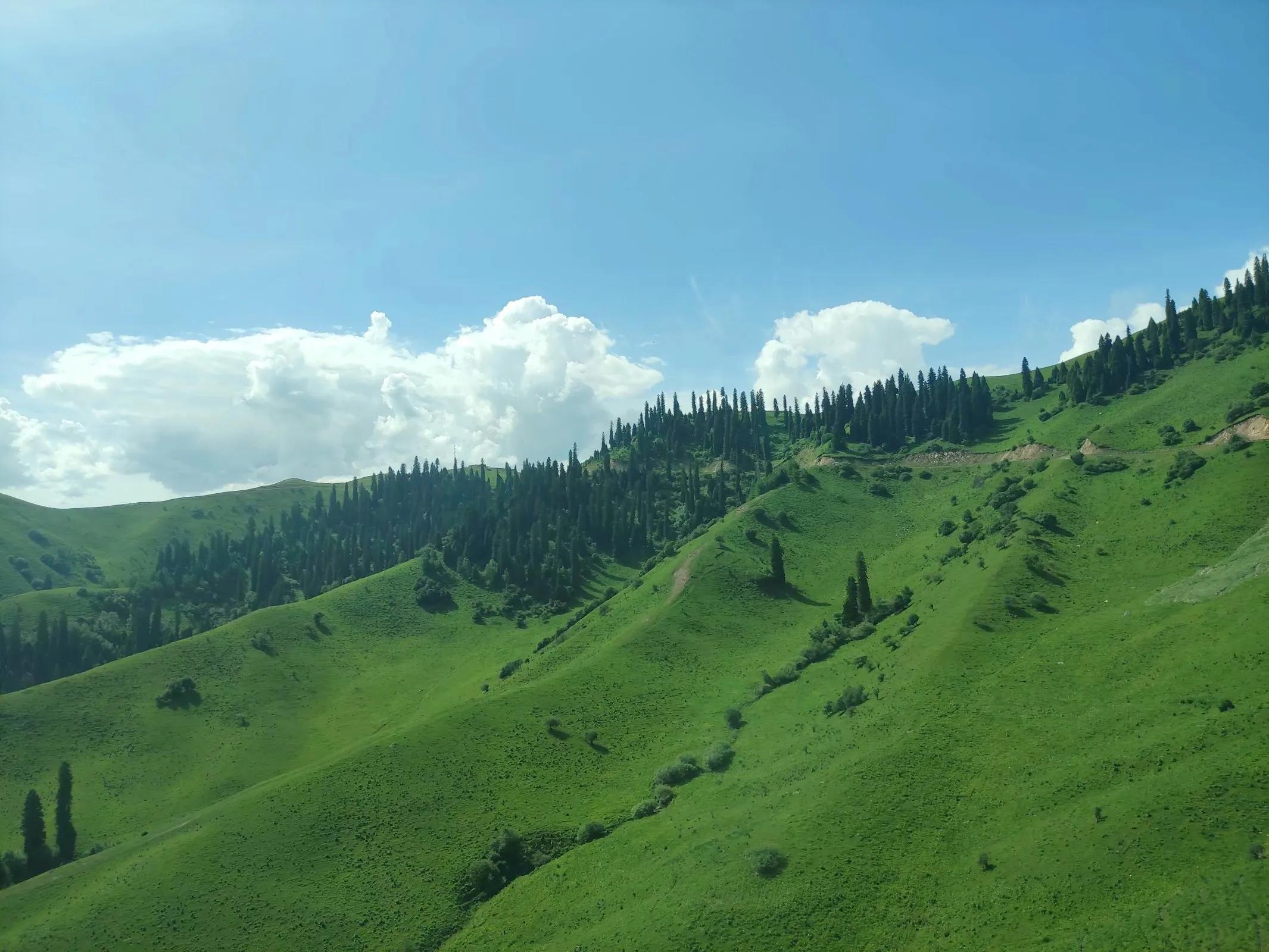 Nalati Grassland, my favorite place in Xinjiang, better than visiting ...