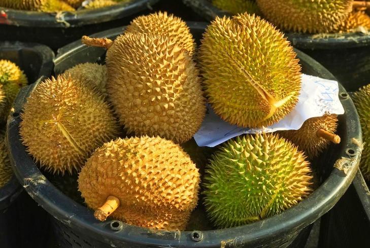 Don't just pick big durians when buying durians!Master 5 skills, pick ...