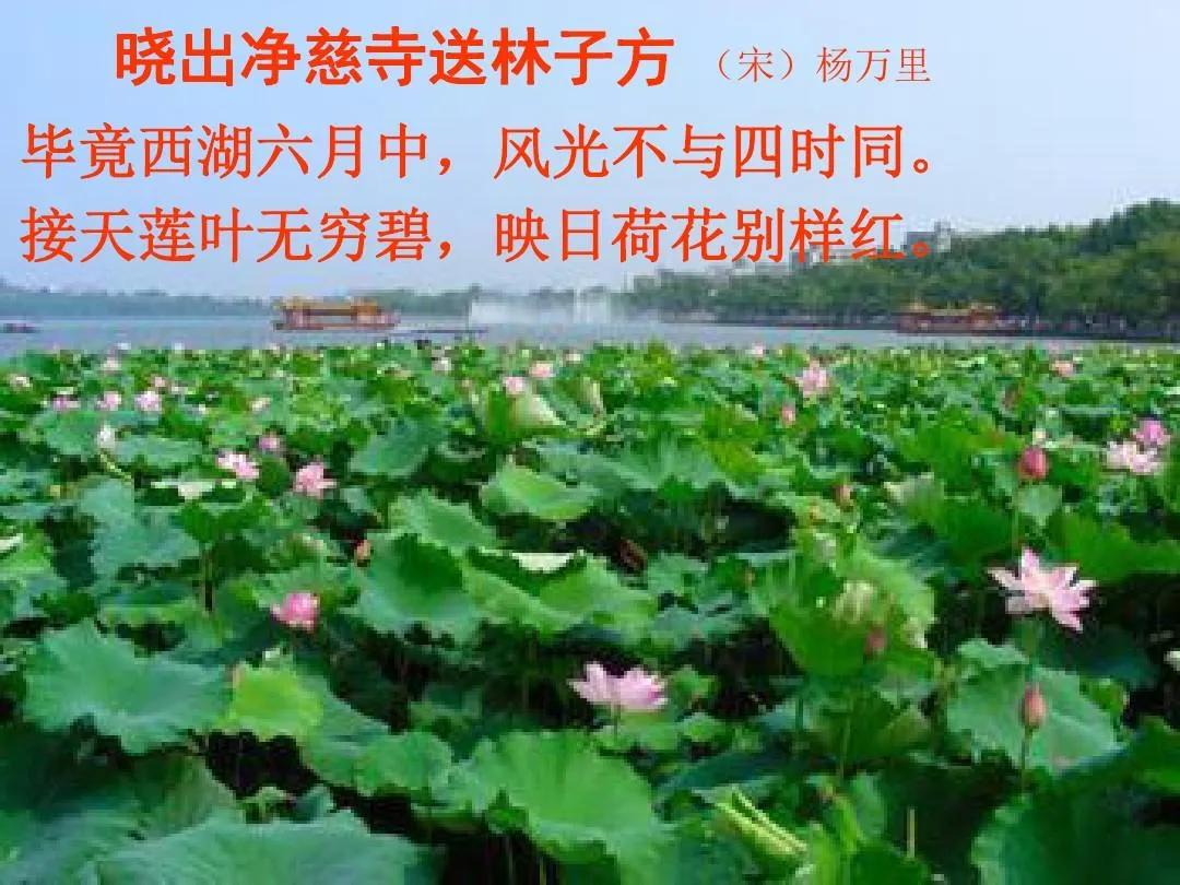 Do you understand Yang Wanli's poem?Most people only read the scenery ...