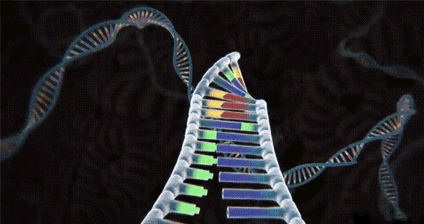 What happens if a man has an extra Y chromosome?1 in 1,000, more man ...