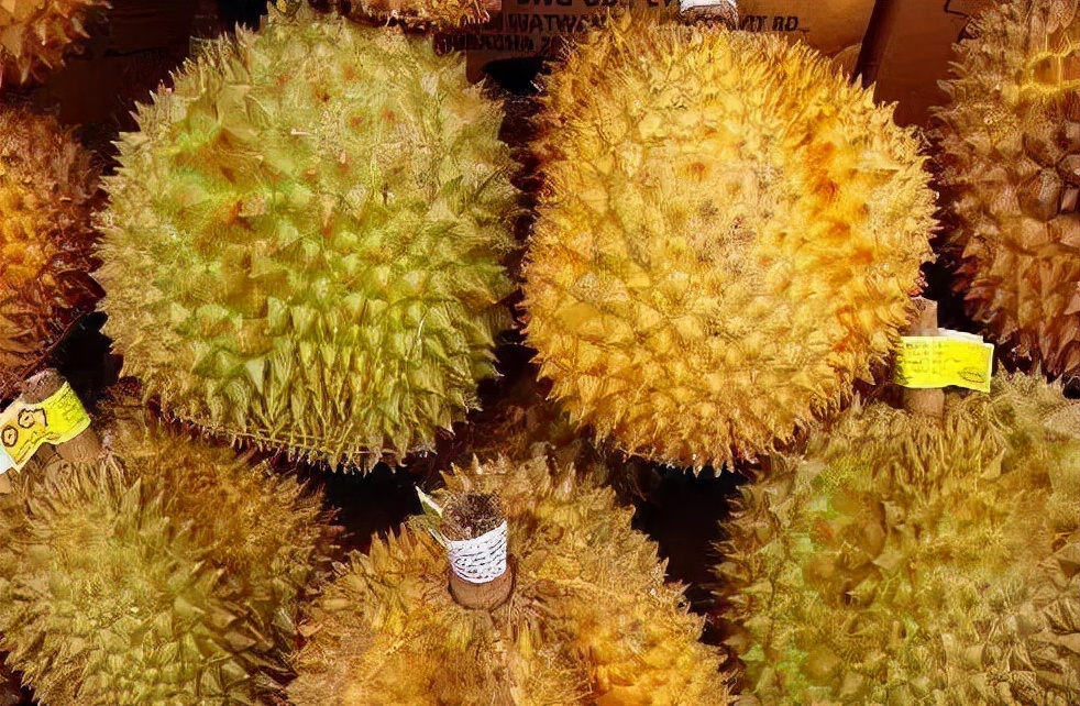 Try not to touch fruits during weight loss - iNEWS