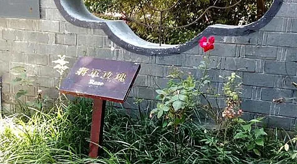 The cemetery of the famous anti-Japanese general Sun Liren: The ...