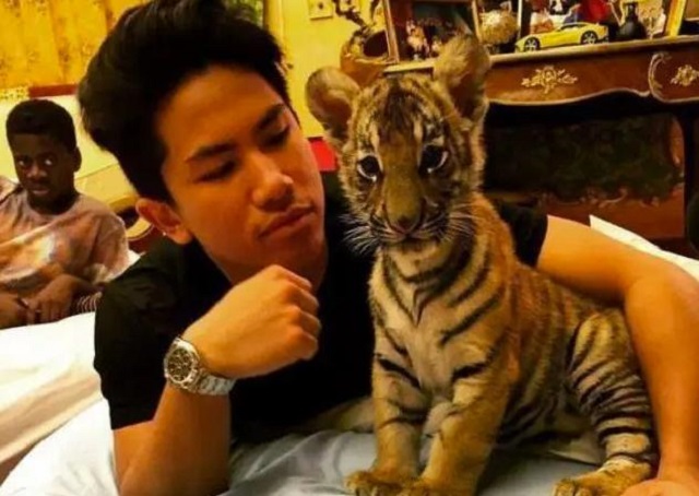 Brunei's most handsome prince: assets of 20 billion, the world's second ...