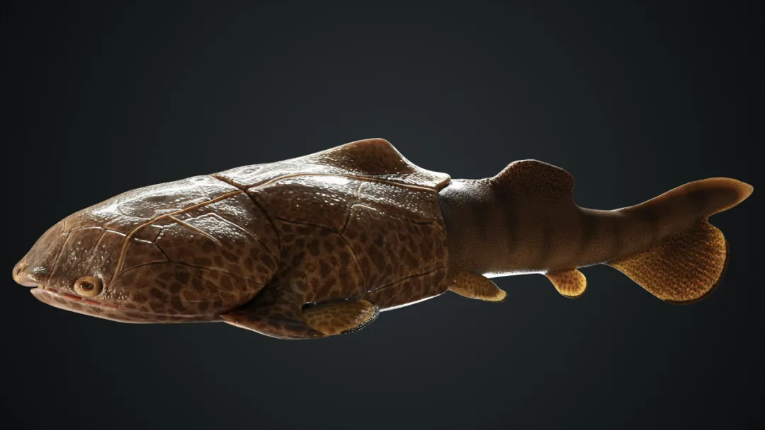 Fish fossils and dragon people have been made public one after another ...