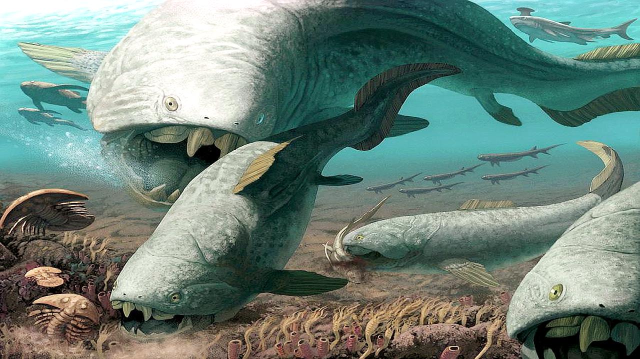 Deng's fish: A slug, under the siege of the strange shrimp, sea ...