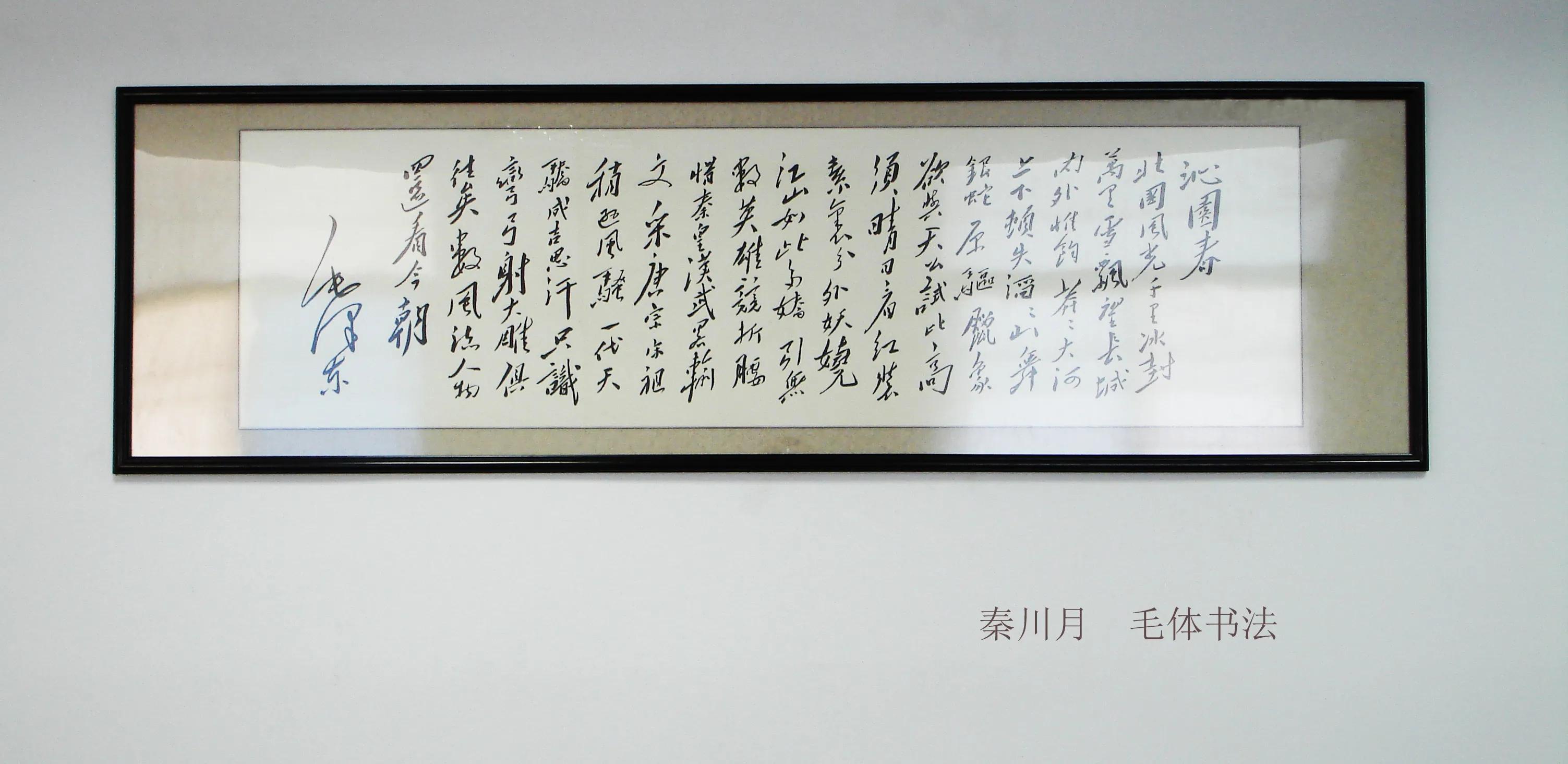 I have been learning to write mao style calligraphy for many years - iNEWS