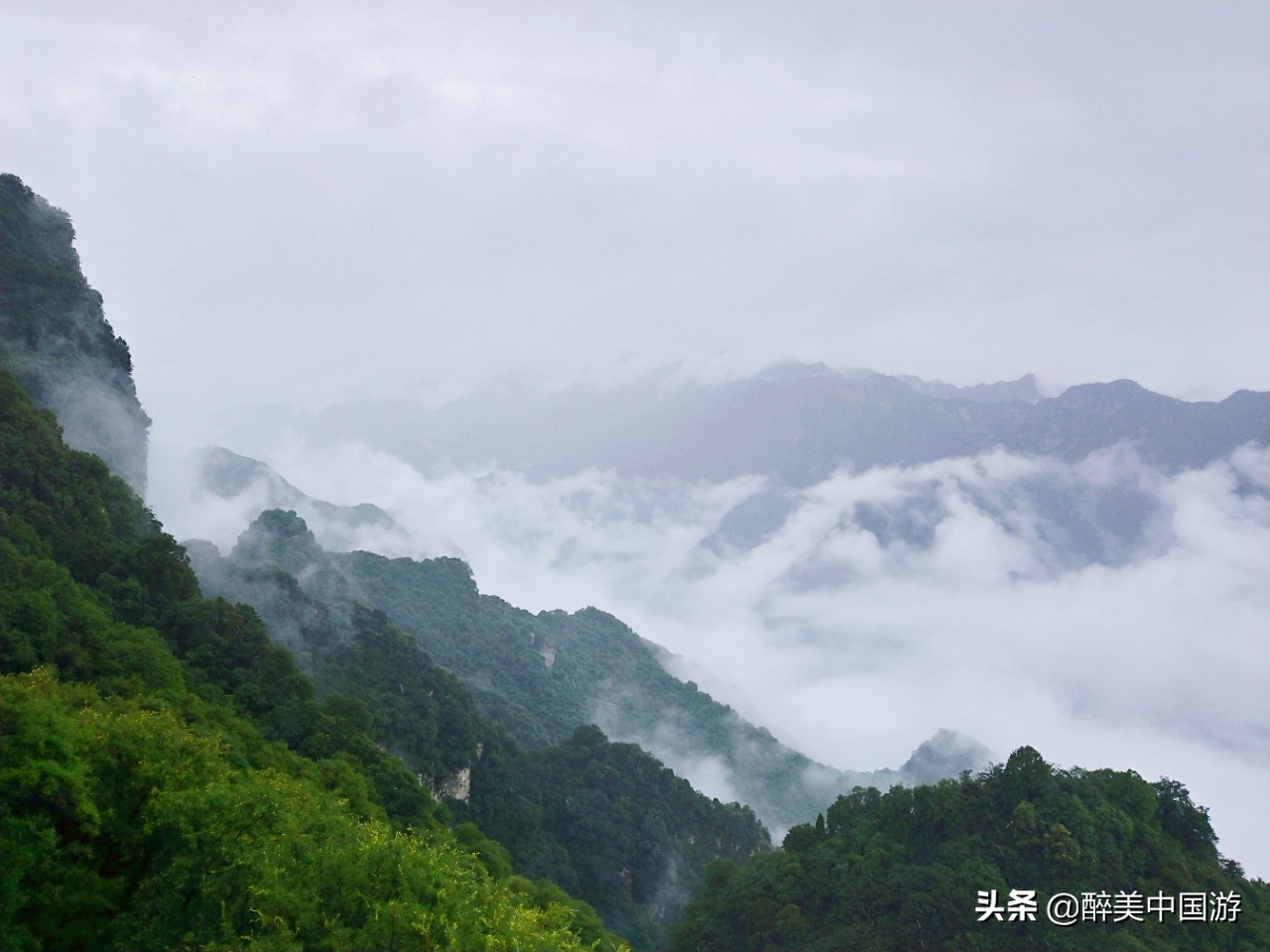 Visit Shaohua Mountain Forest Park, the whole journey is cool, quiet ...