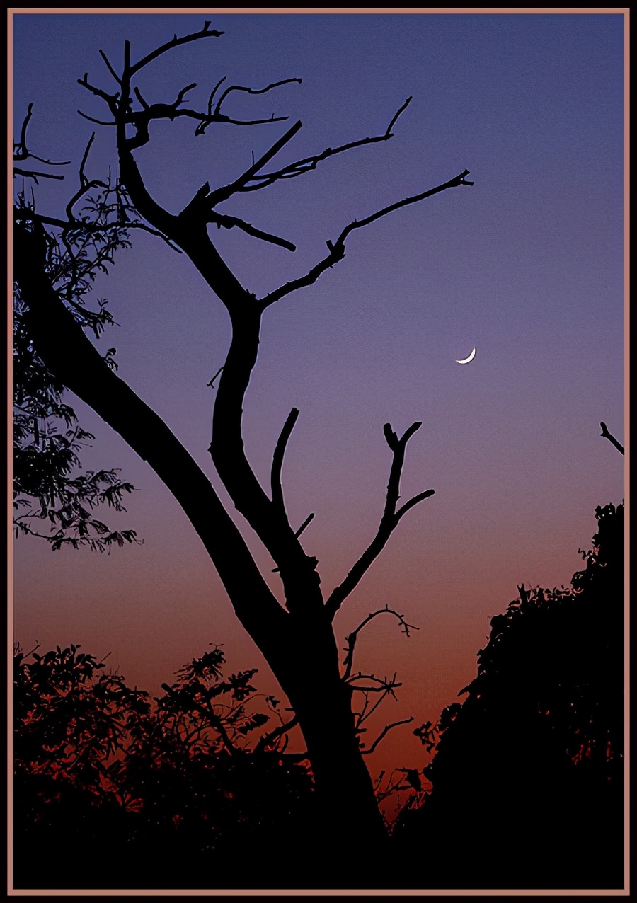 In the Tang Dynasty, Mingyue was bold and unruly. Why did the moon ...