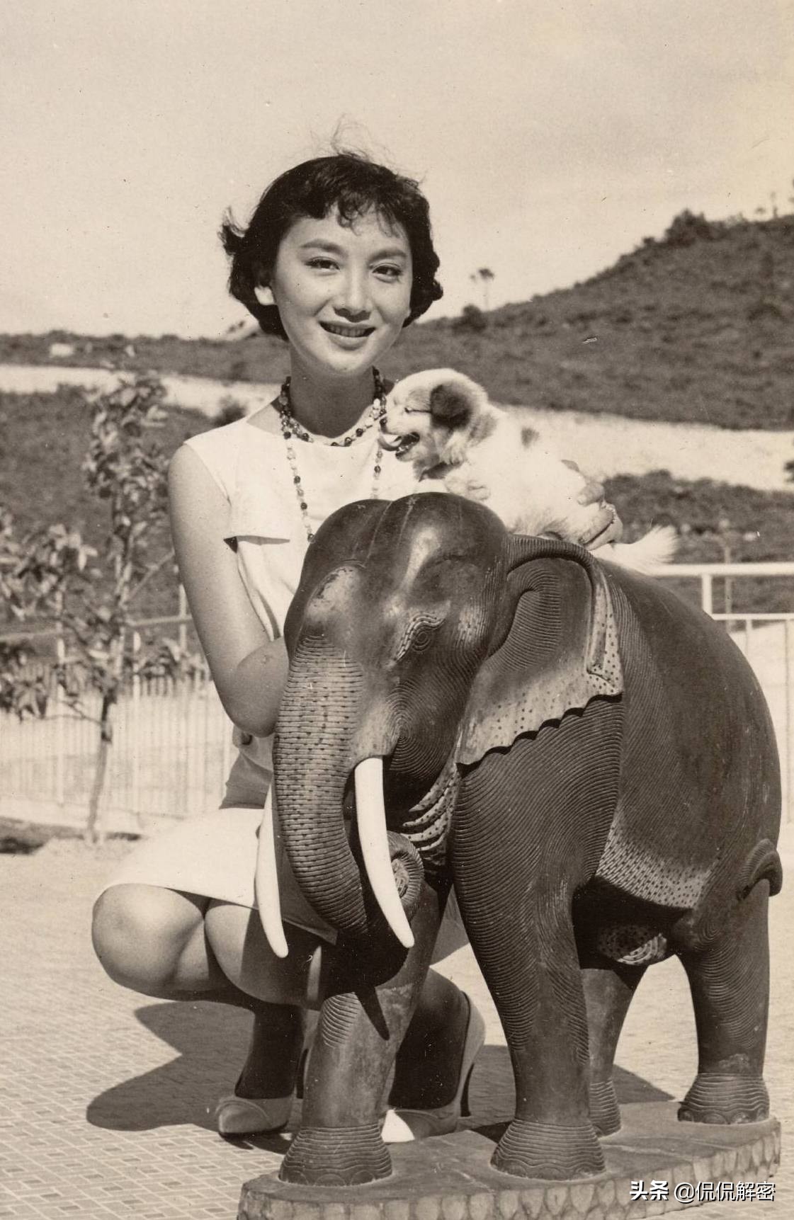 How beautiful was "the princess" Xia Meng when he was young?You may not ...