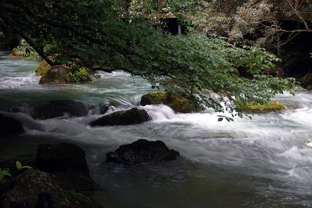68-level waterfall!Water forest!The magical craftsmanship of nature is ...