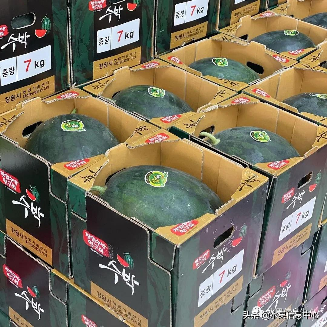 The transportation packaging and packaging design of the watermelon did ...