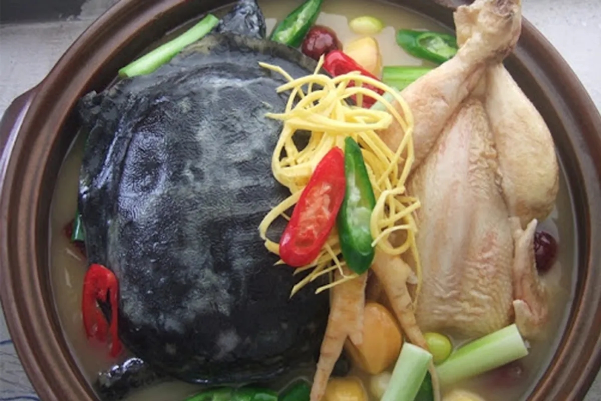 South Korea's hotter summer, the more you need to make up for it?What ...