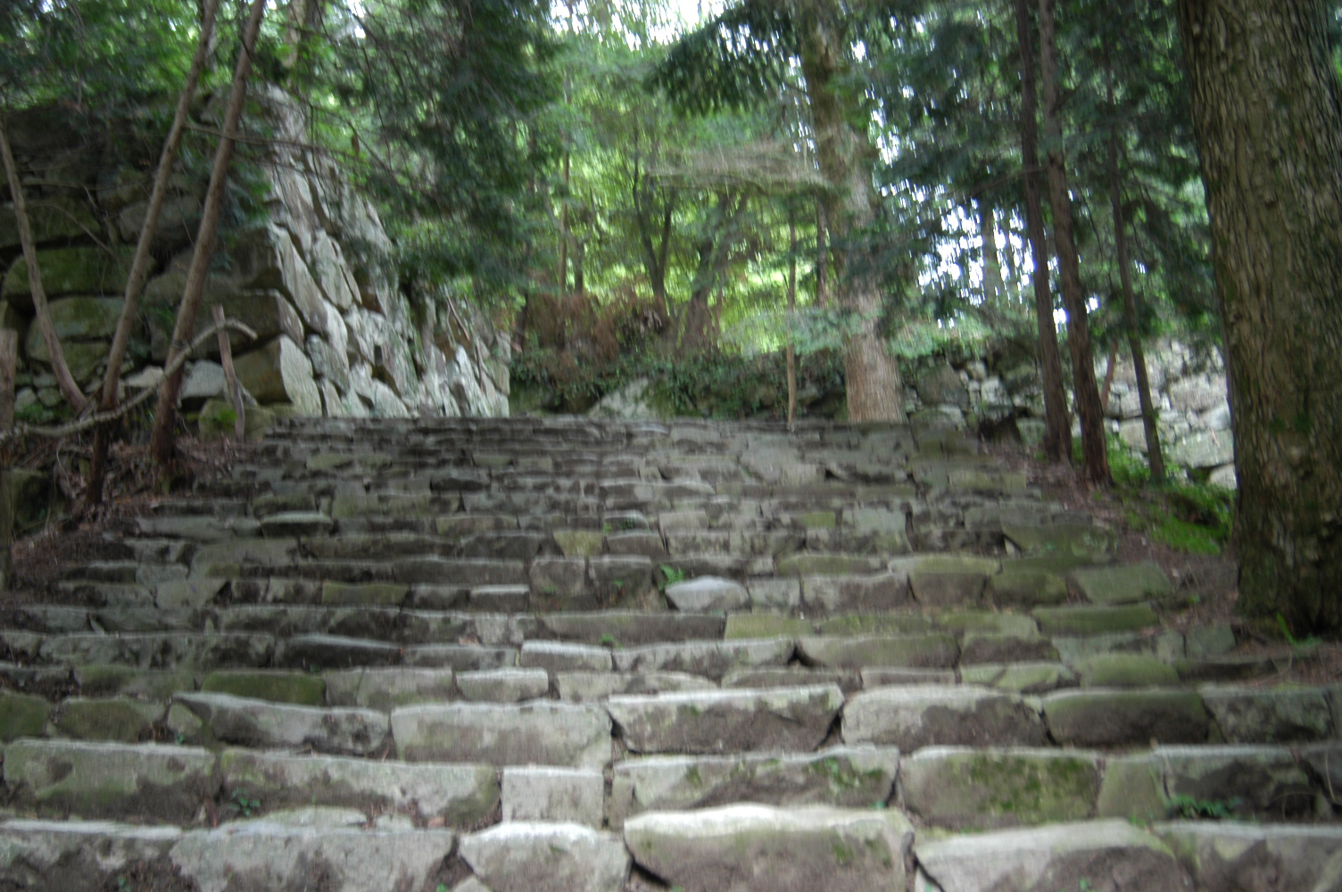 Interesting talk about Japanese castles-Azuchi Castle - iNEWS