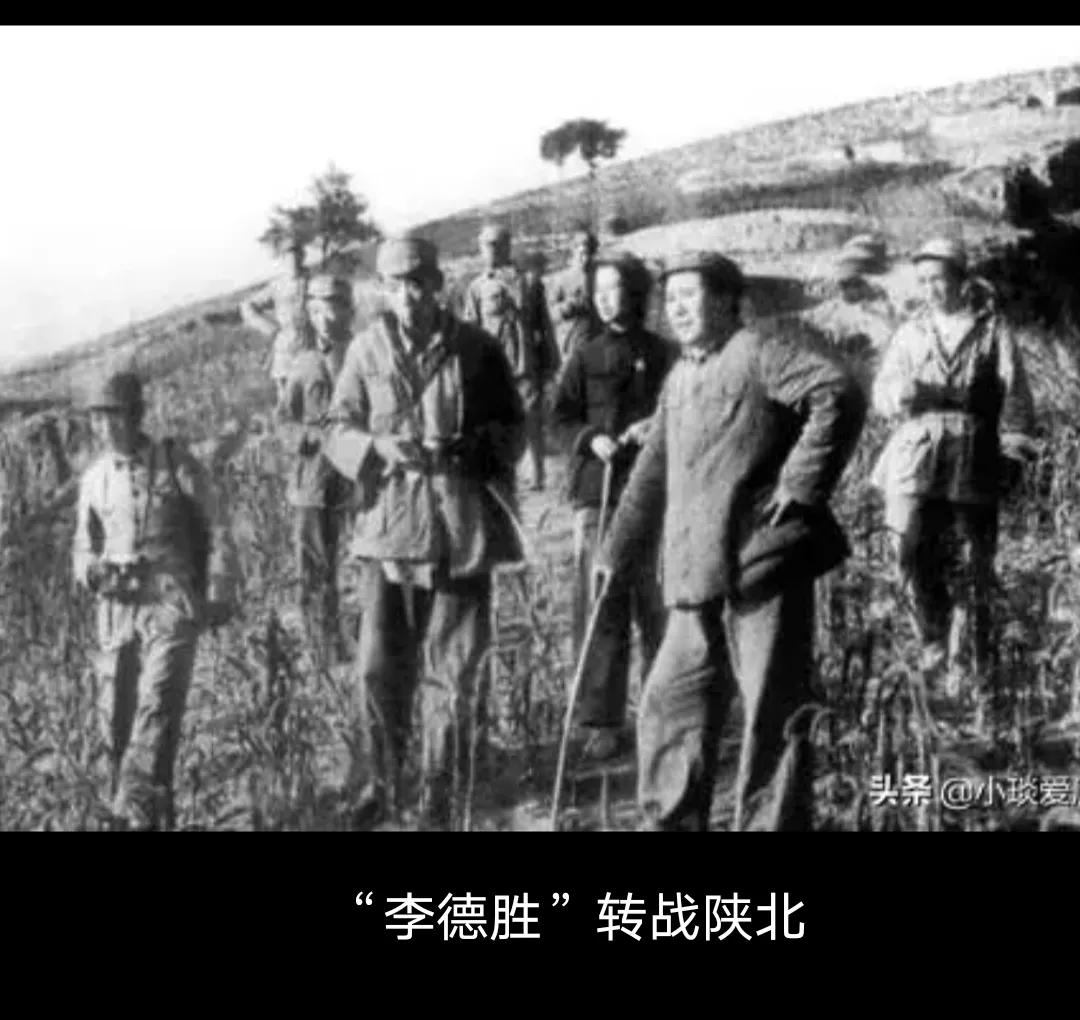 Mao Zedong's name, font, and number - iNEWS