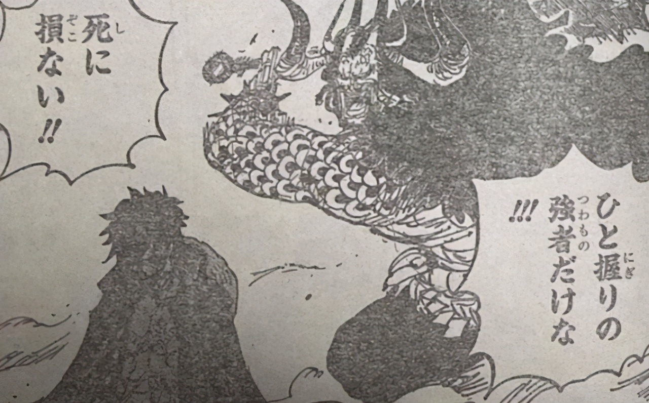 One Piece 1010: Luffy launches God avoidance, paying tribute to Roger ...