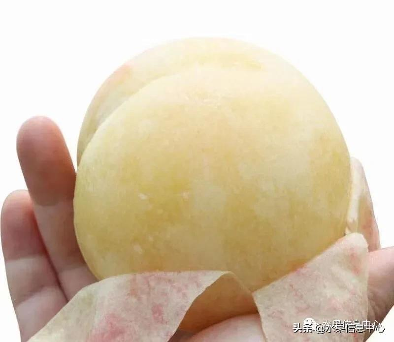 China's common peach origin varieties and time to market - iNEWS