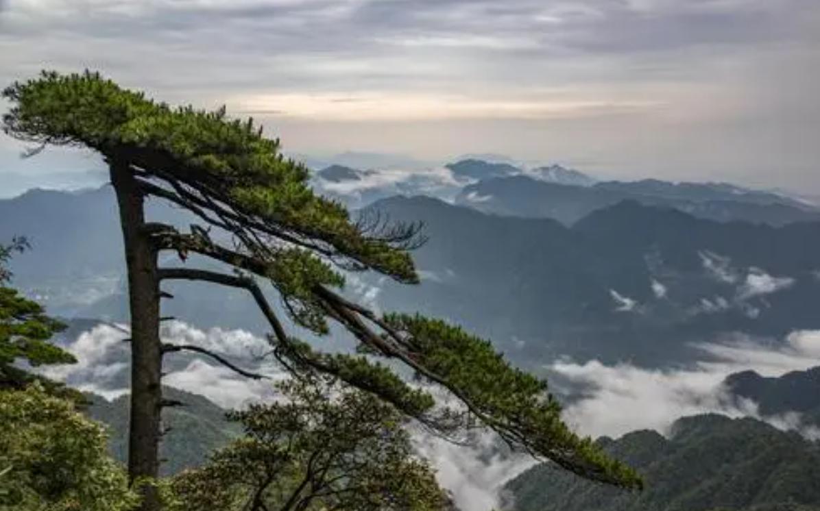 Jiangxi's three major 5A-level scenic spots, world-famous mountains ...