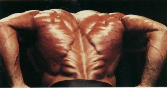 Before you develop a Christmas tree-like back muscle shape, you must ...