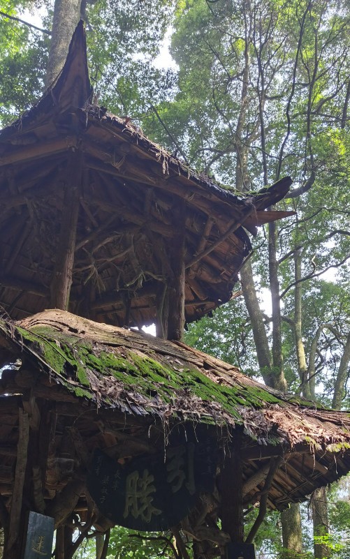 Slowly tour the Tianshi Cave of Mount Qingcheng - iNEWS