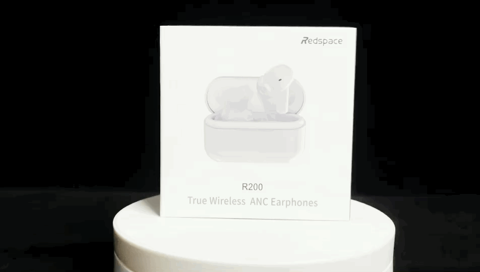 What is the value-for-money active noise reduction true wireless ...