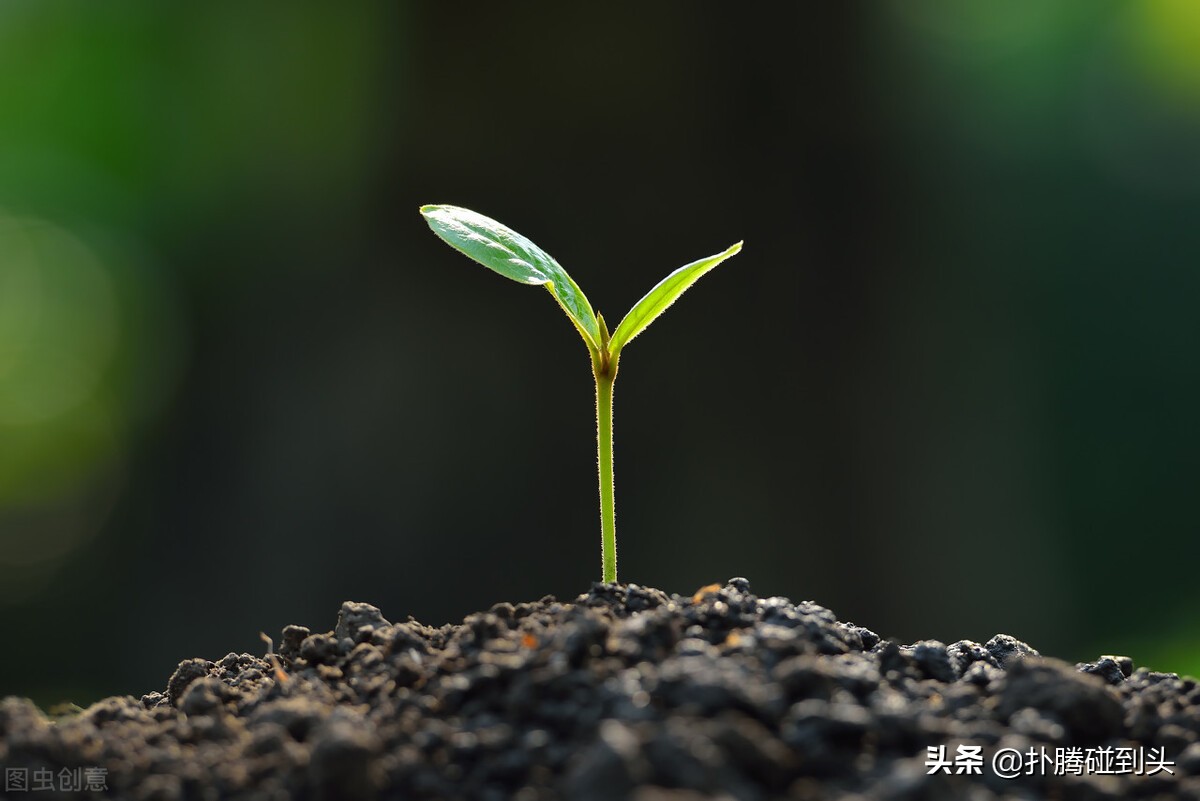 Why life can survive where there is no sunlight - iNEWS