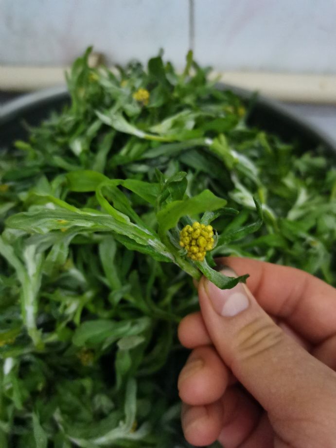 Snowflake Glutinous Rice Cake (Tian Ai Chapter 2) - iNEWS