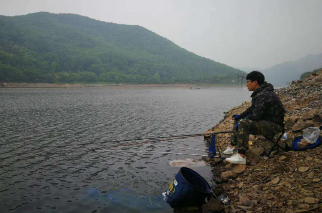 Detailed explanations of all kinds of fish nests - iNEWS