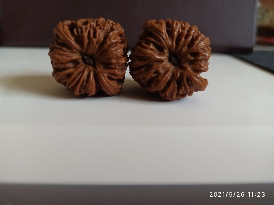 Wenwan Walnut, Southern Xinjiang Stone Lion Head - iNEWS