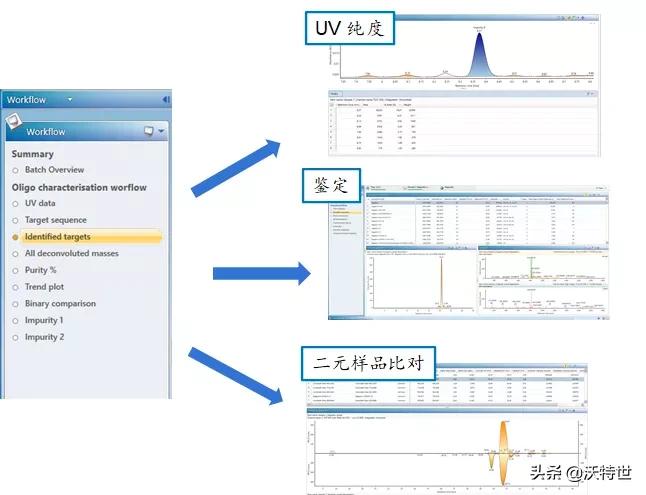Oligonucleotide analysis—from advanced characterization to routine ...