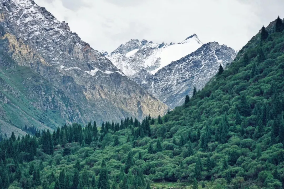 Wusun Ancient Road-Control the wind and wading, appreciate the beauty ...