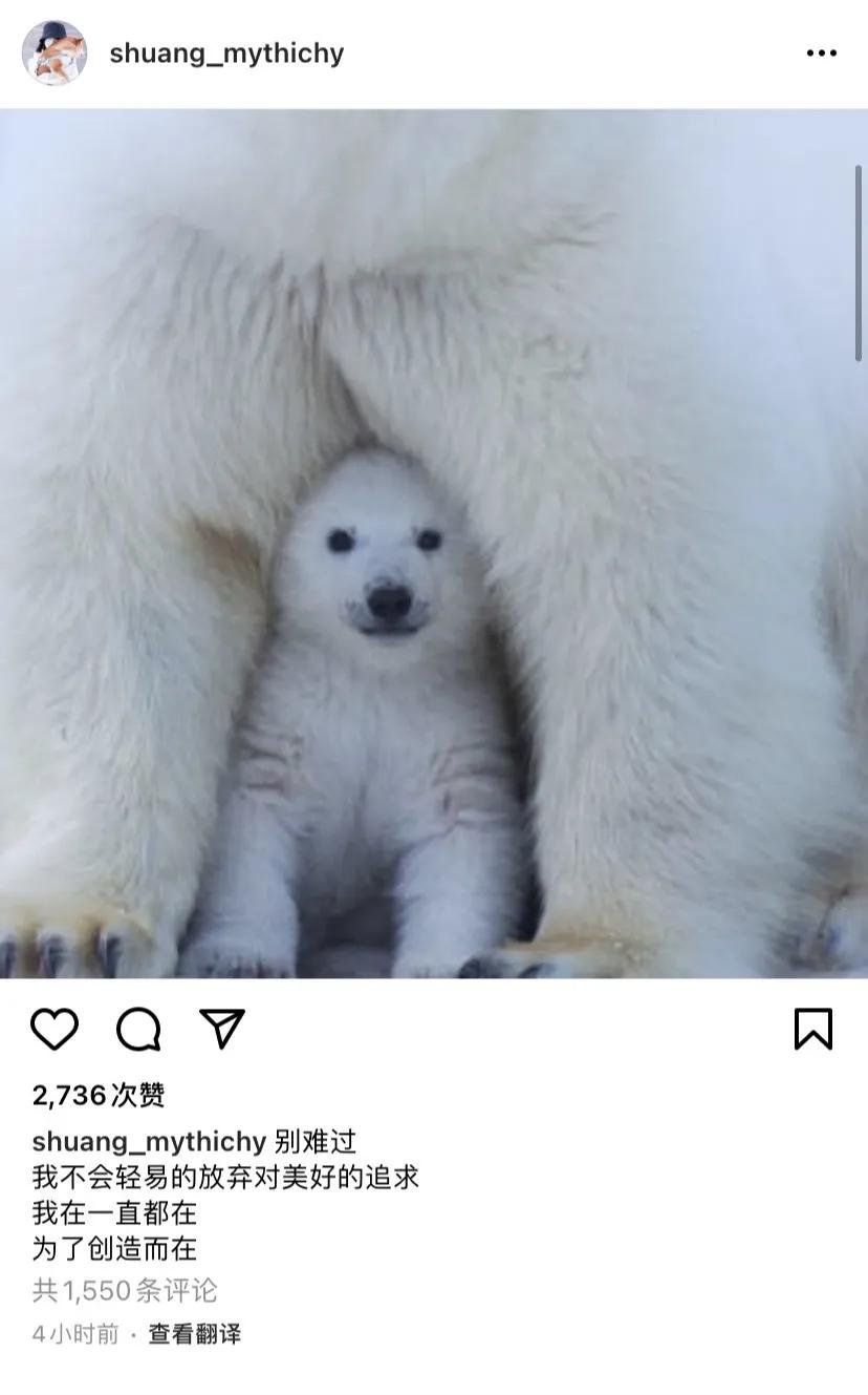 Zheng Shuang's request for Hammer's account to be "closed" on all ...