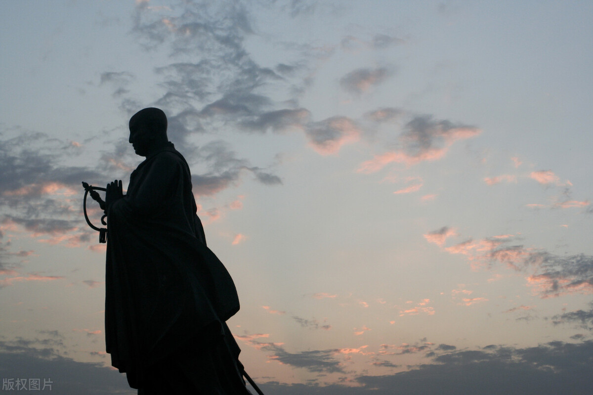 Rootless Trees (7)-Flowers are blooming - iNEWS