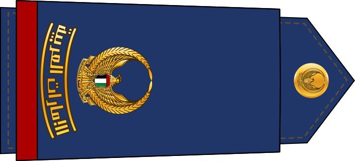 Military rank identification of each country: UAE - iNEWS