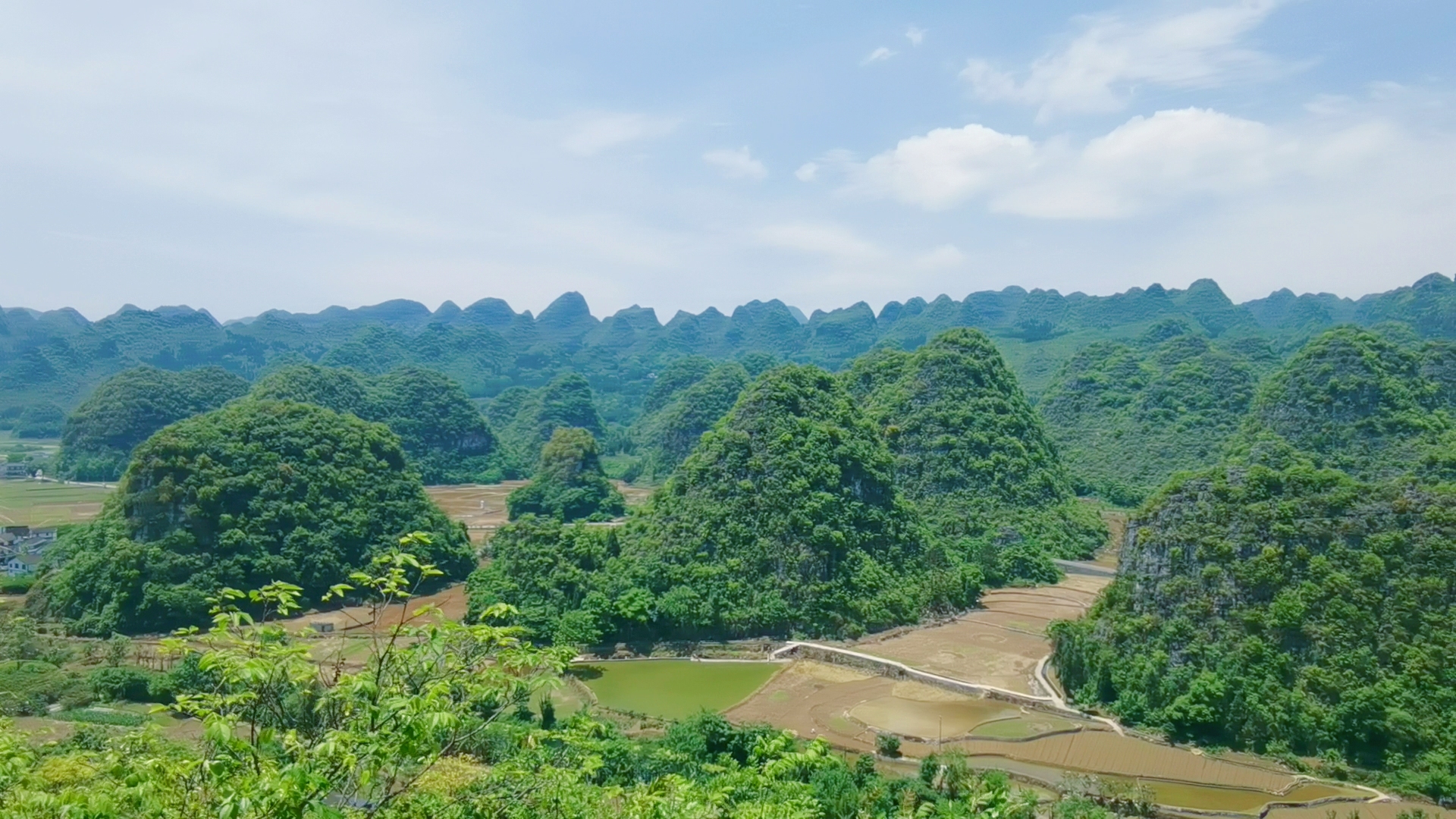 Wan Fenglin had a good hand but failed to play well. This 4A-level ...