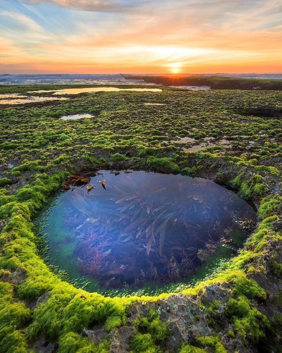 Russia's largest swamp, it turns out that there is such a beautiful ...