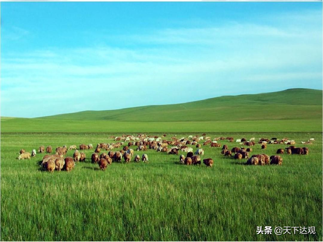 Also known as Dingling, Gaoche, Uyghur, in the middle of the 4th ...