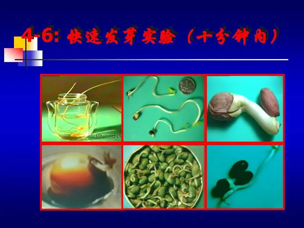 Is "Egg Rebirth" really a scourge?What does the rebirth and sprout of ...